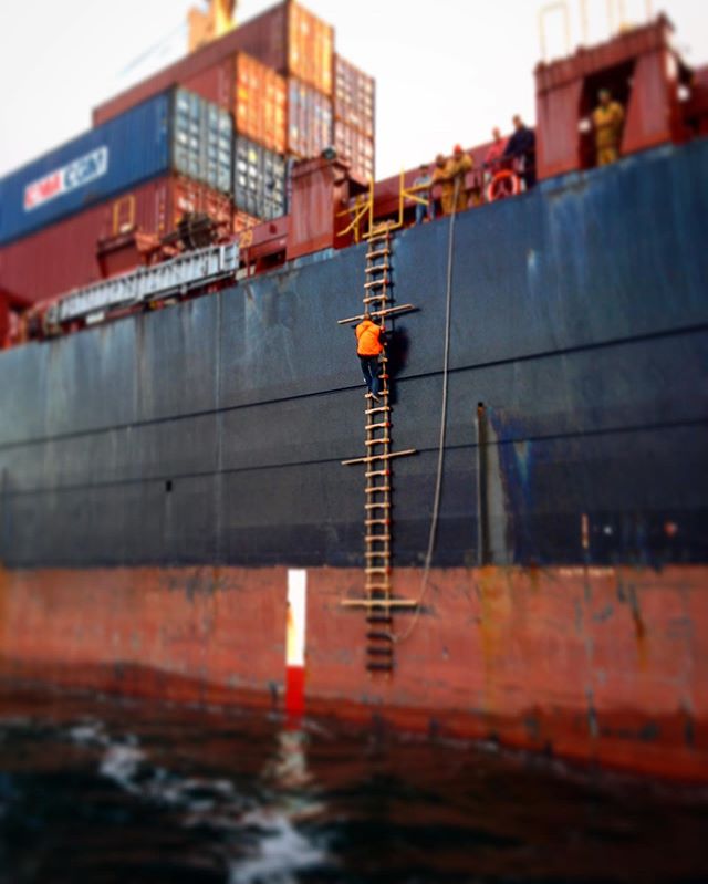 IMPA Pilot ladder Safety Campaign 2020 - FFPM - Fédération Française ...